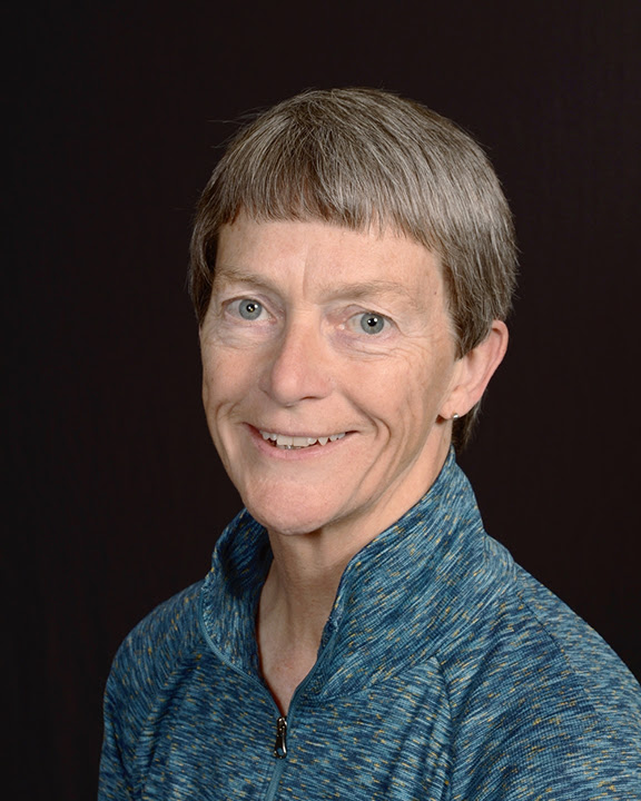 LANL Fellow Michelle Thomsen Awarded Prestigious Fleming Medal – Los ...