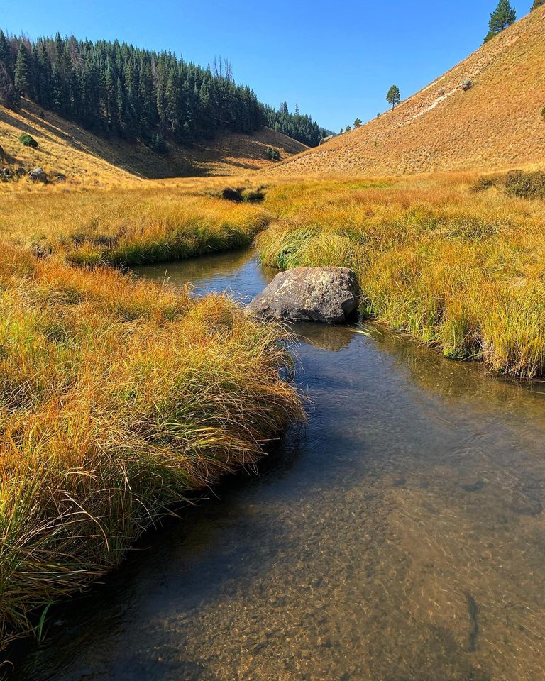 Valles Caldera National Preserve Plans Fall Prescribed Burns To Reduce ...