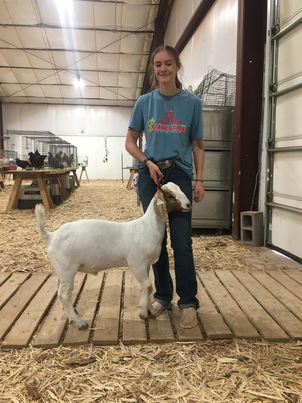 carly-hollander – Los Alamos Reporter