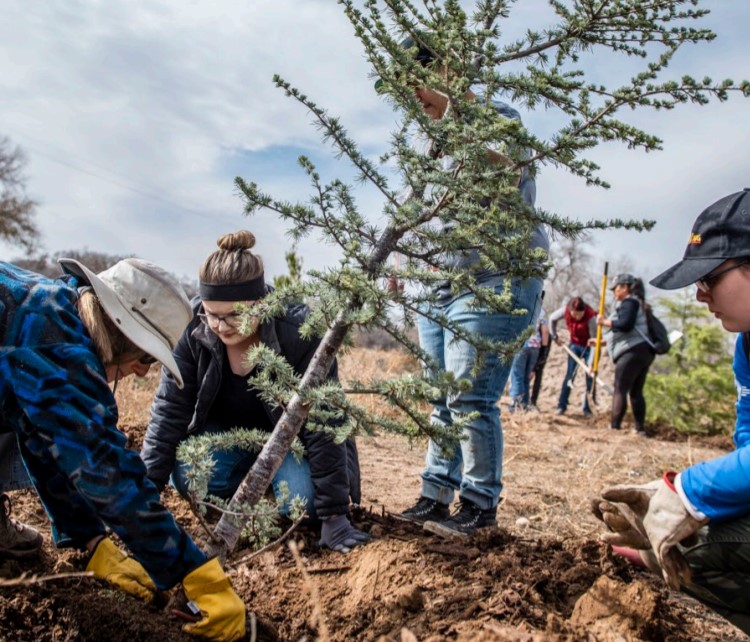 Los Alamos Public Libraries Host ‘Planting Trees For A Warmer Future ...