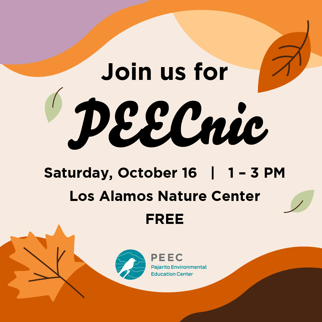 PEEC’s Annual Member Appreciation Event ‘PEECNic’ Is Saturday – Los ...