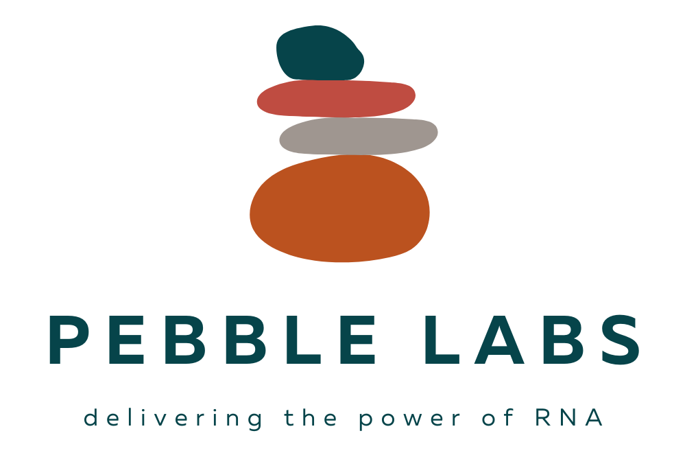 Pebble Logo Vector