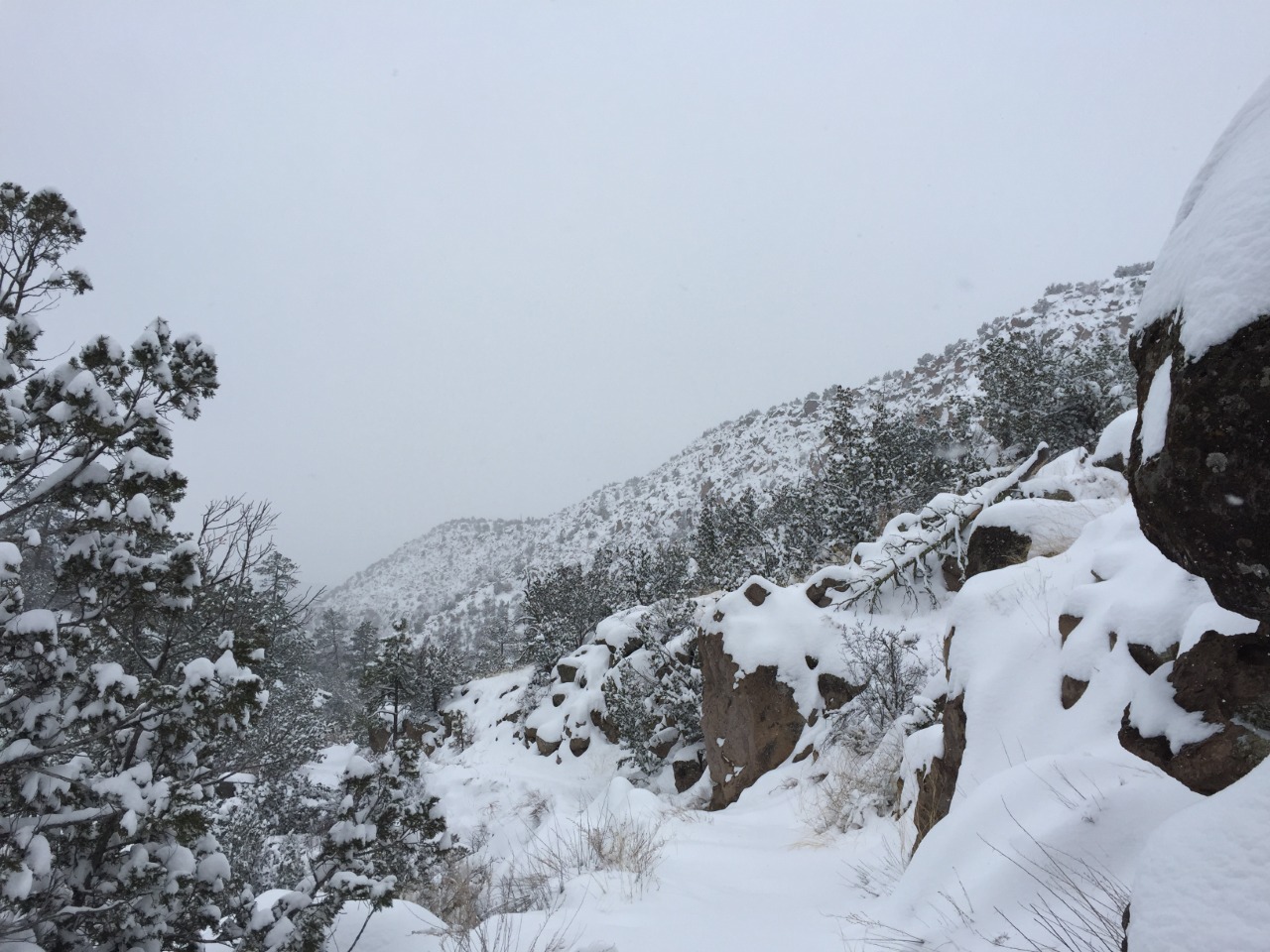 Bandelier National Monument Holiday Hours Announced – Los Alamos Reporter