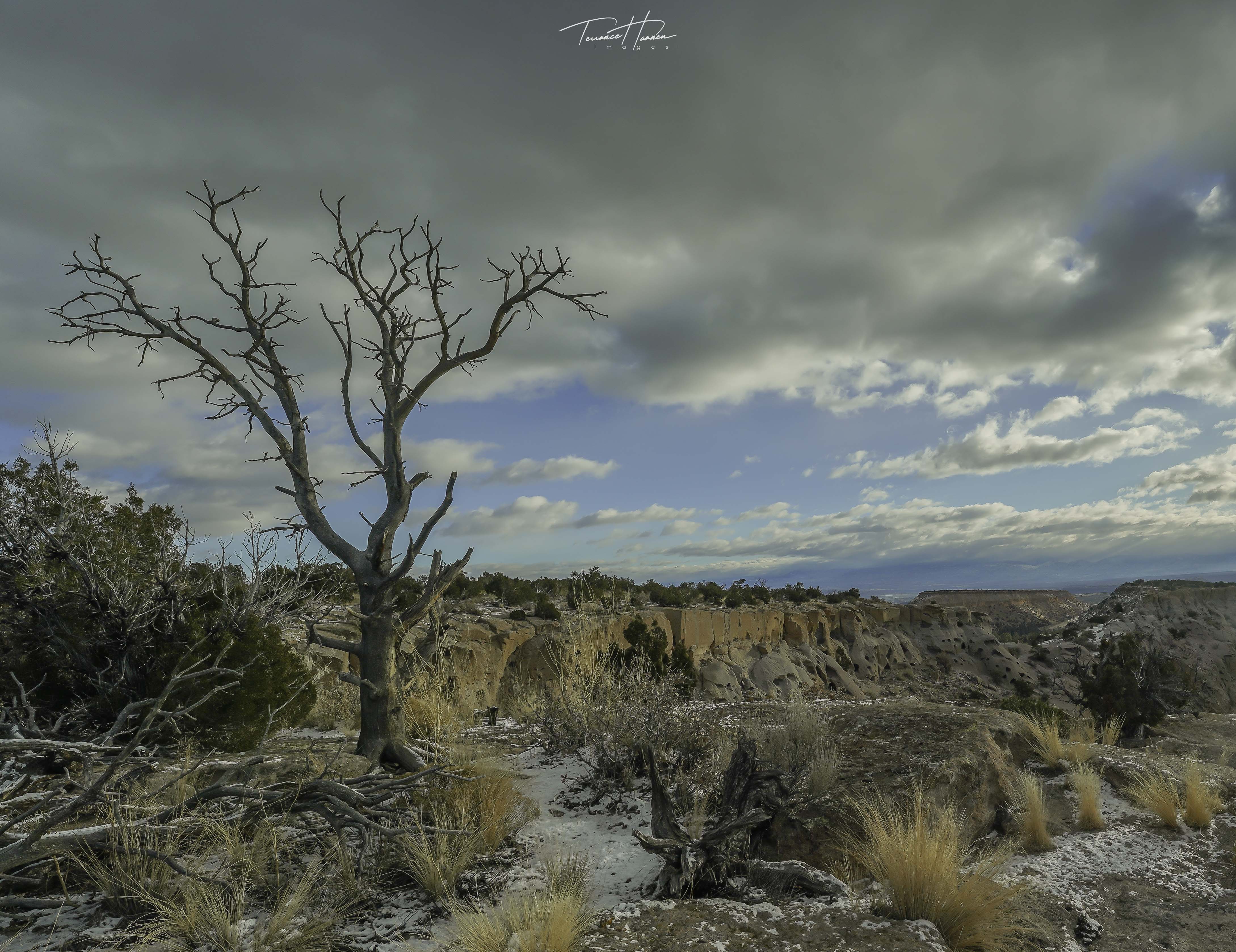 Winter Desolation On Los Alamos Mesa – Los Alamos Reporter