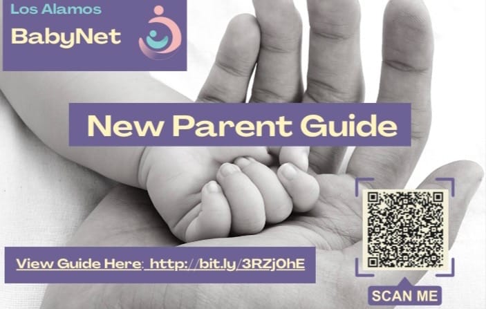 BabyNet Announces Brand-New Resource For Pregnant Woman And New Parents ...