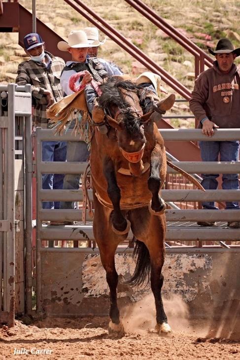 Local Students Qualify To Compete At World’s Largest Rodeo – Los Alamos ...