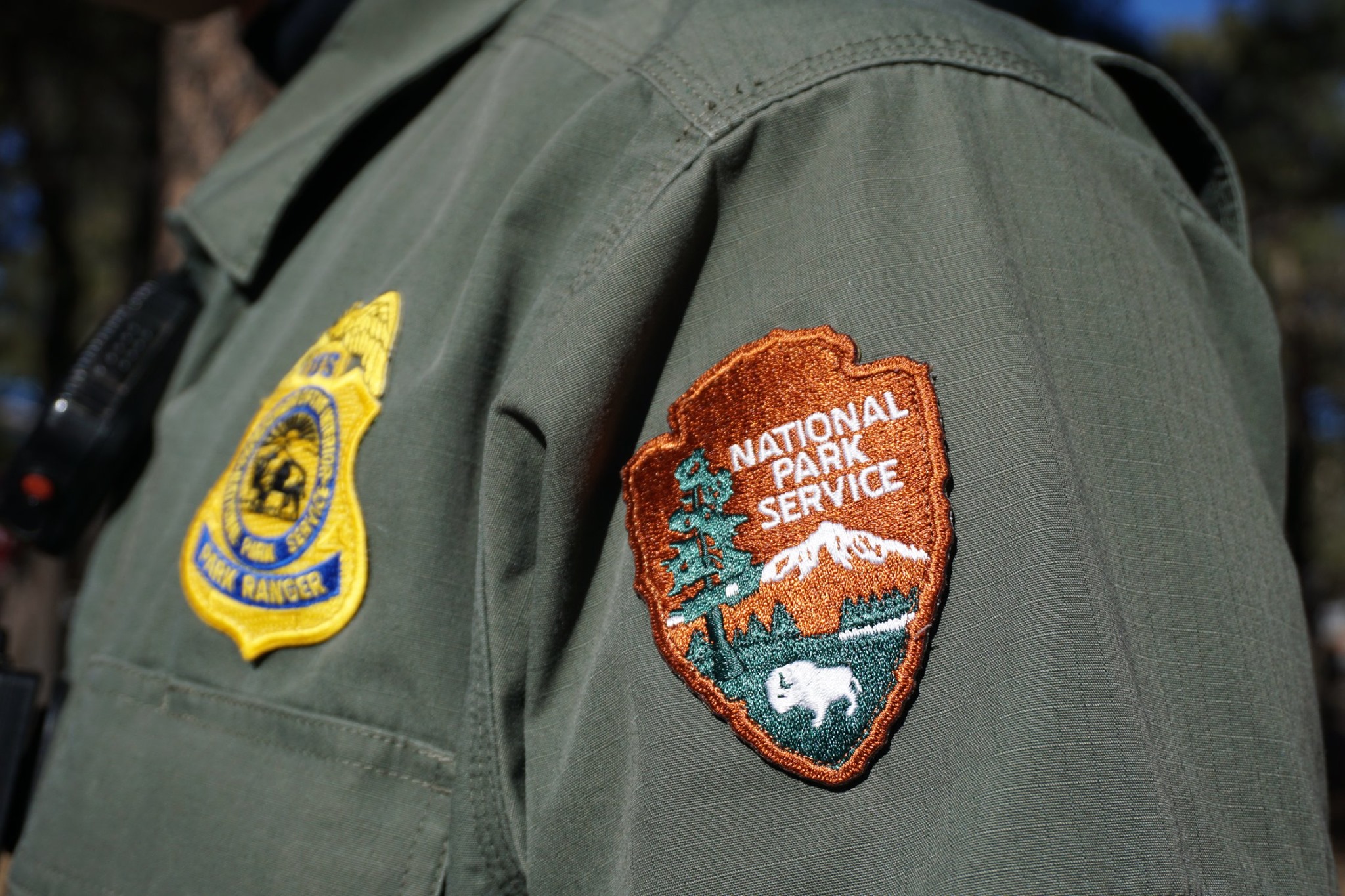 Information Sought In Elk Poaching Incident At Bandelier National ...