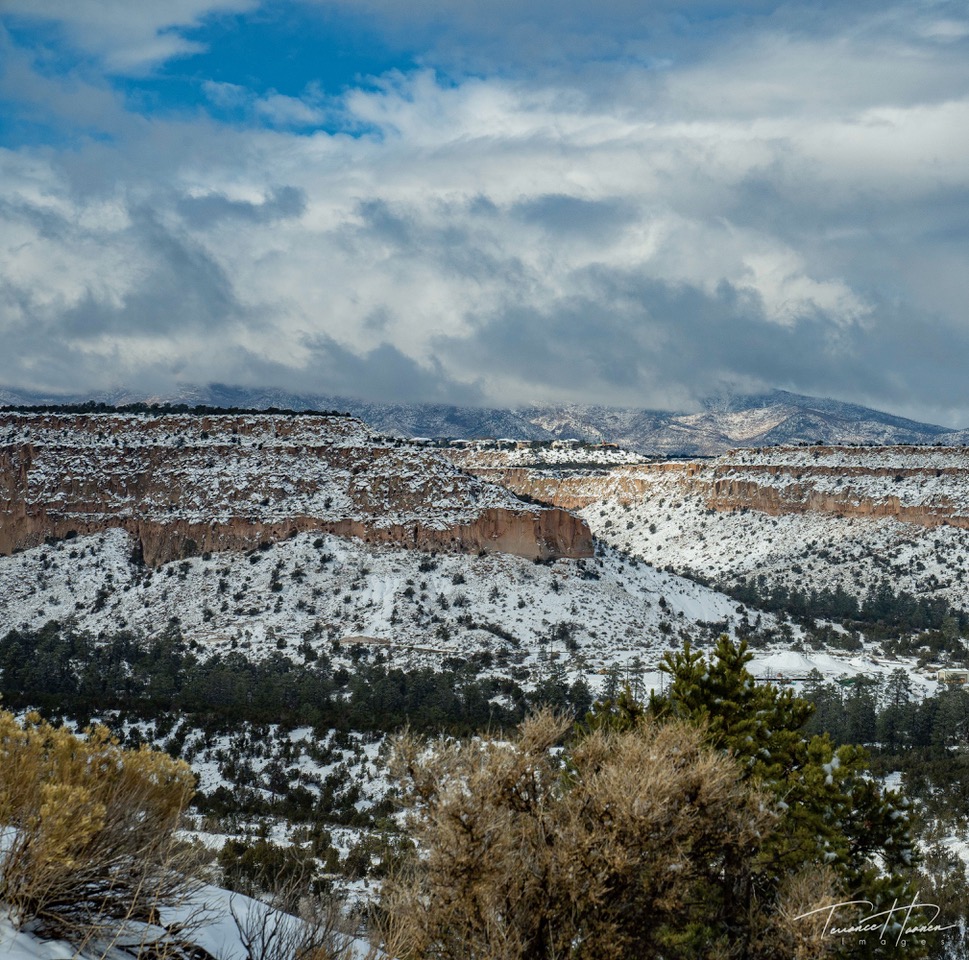 Welcome Home! – Los Alamos Reporter