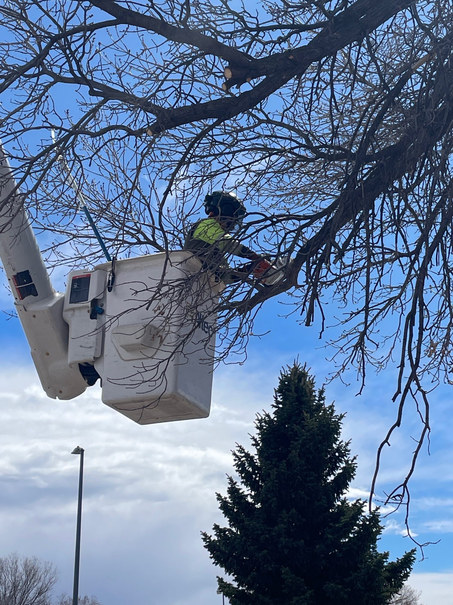 Southwest Fire Defense Gives A Helping Hand To Local VFW Post By ...