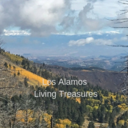 Nominations Accepted Through May 31 For New Living Treasures Of Los ...