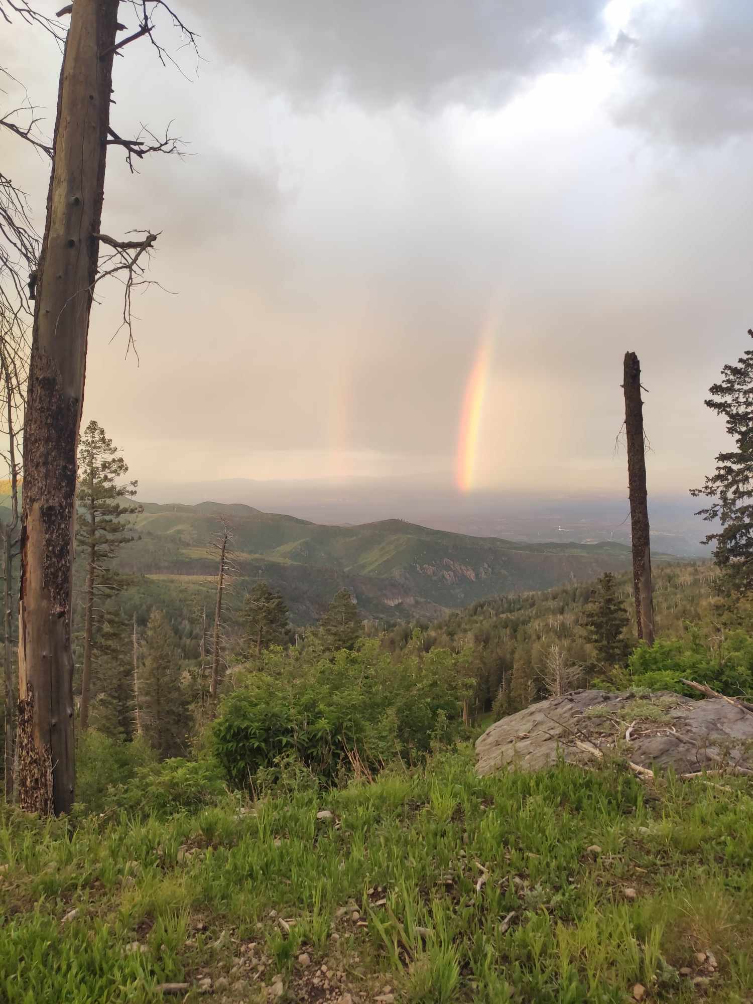 Evening Views From Pajarito Mountain – Los Alamos Reporter