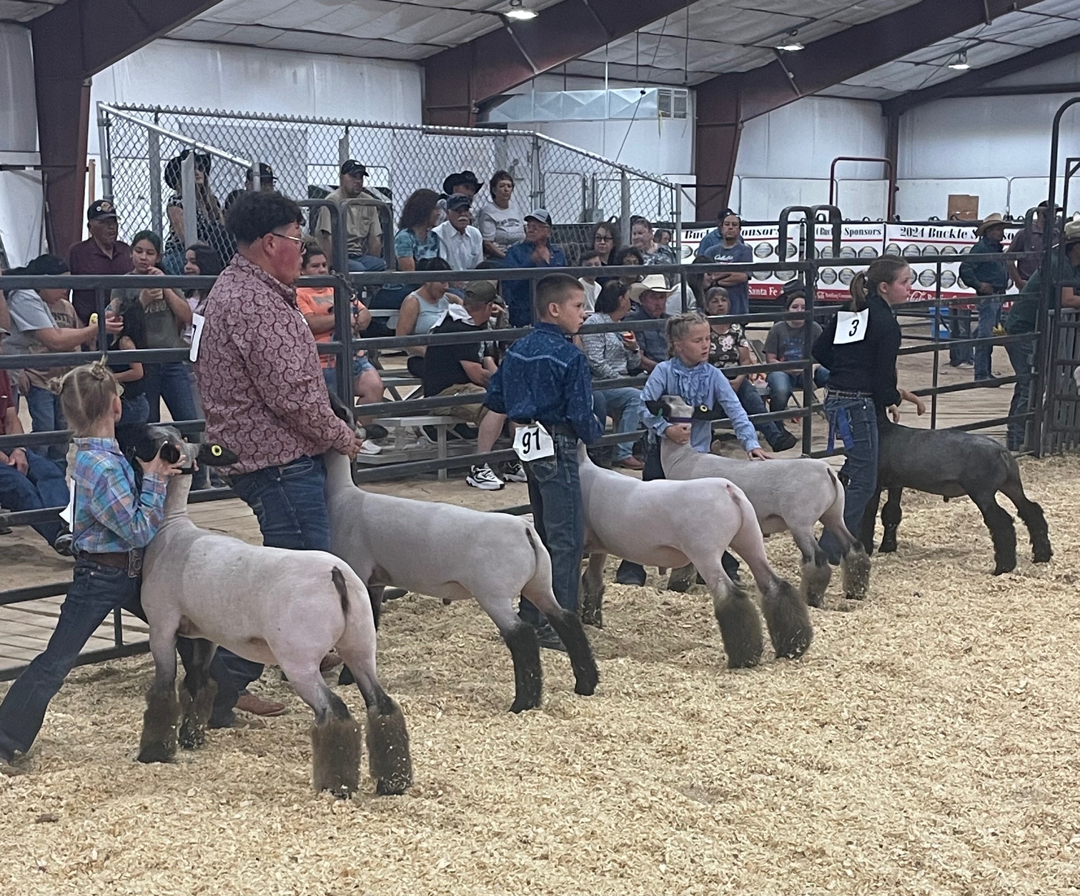 More Photos Of 4-H Kids From Rio Arriba County Fair – Los Alamos Reporter