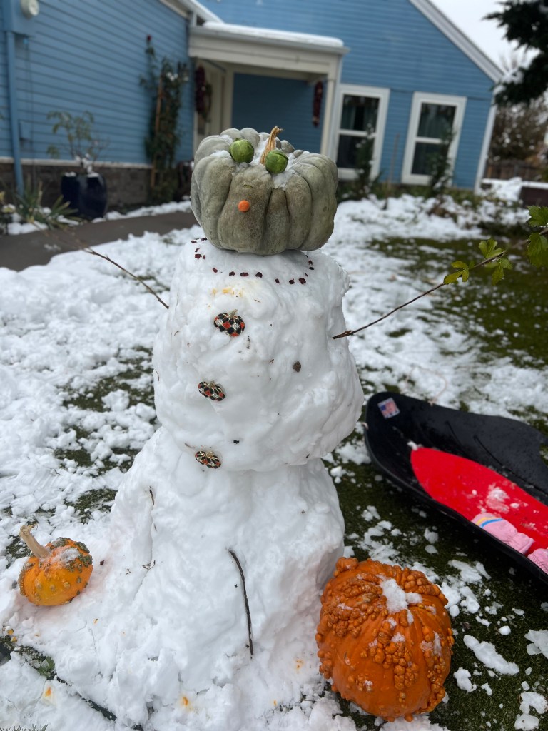 First Snowman Of The Season Spotted In Los Alamos – Los Alamos Reporter