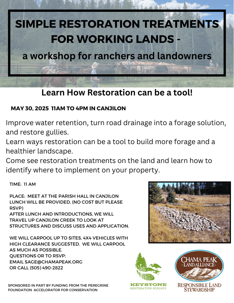 Workshop Offered May 30 On Simple Restoration Treatments For Working ...