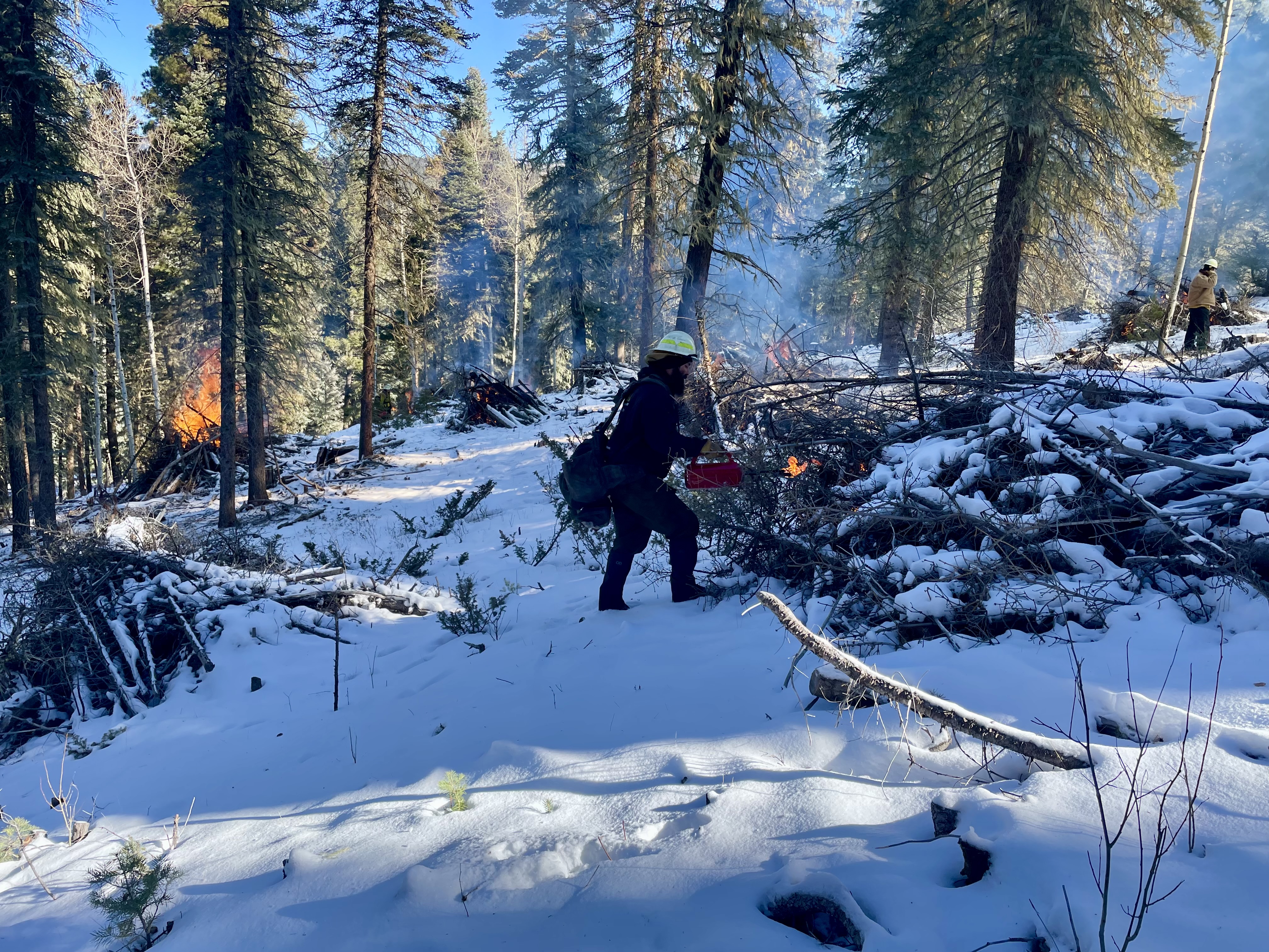 Santa Fe National Forest Issues Pile Burn Update – Los Alamos Reporter