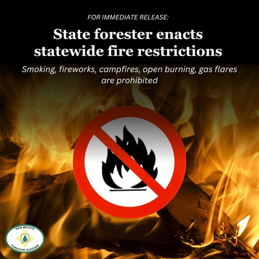 State Forester Enacts Statewide Fire Restrictions: Smoking, Fireworks ...