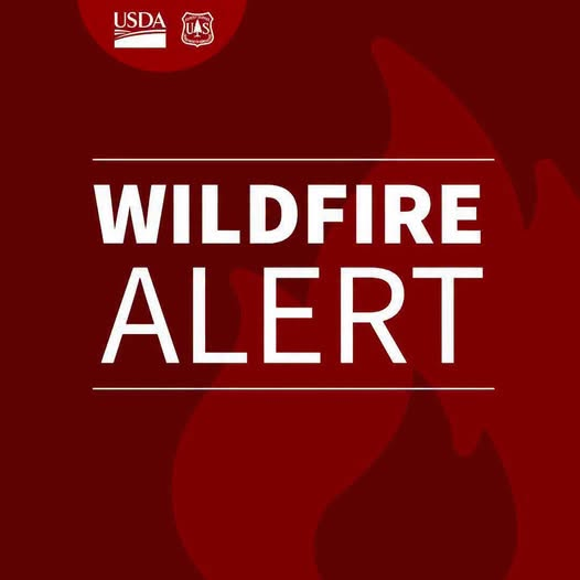 SFNF: Firefighters Take Action On Multiple Fire Starts Across The ...